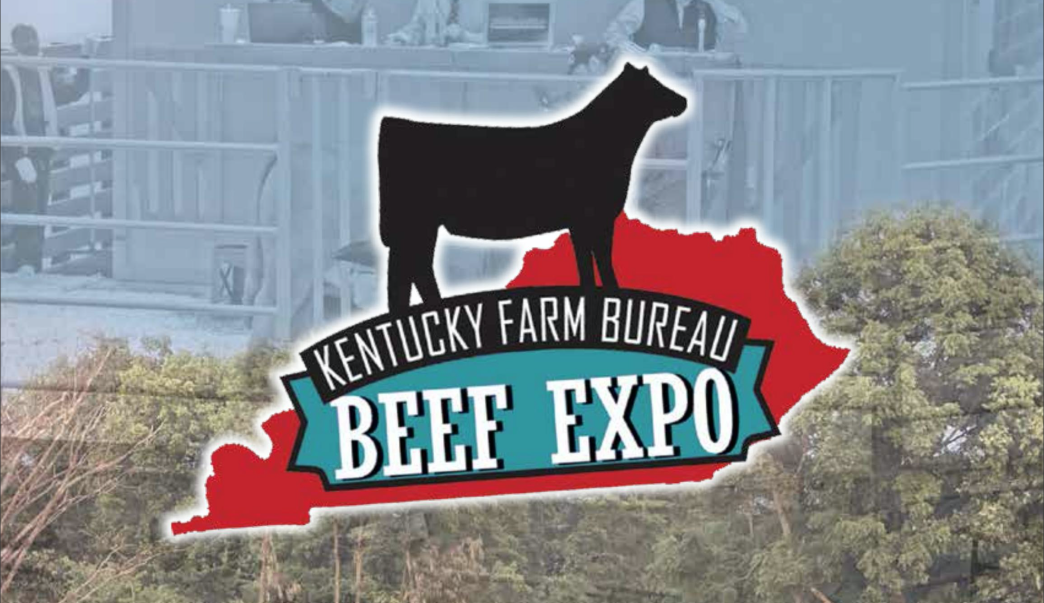 Kentucky Beef Expo Simmental Sale by Parke Livestock – DP Sales